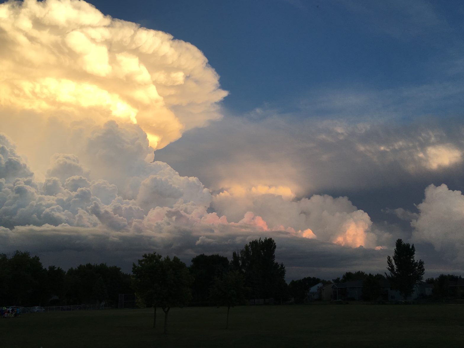 Out of the blue? Ontario proposes to scale back Phase II of the Blue ...