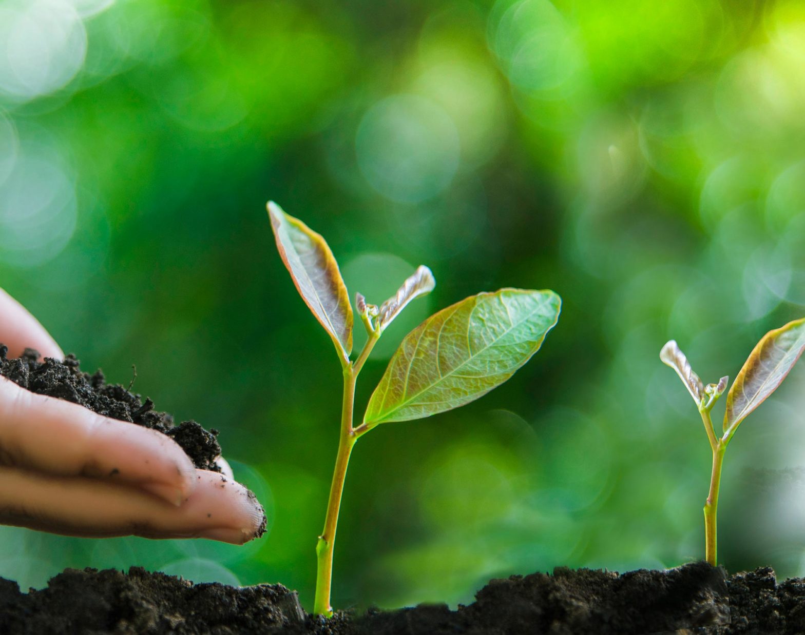 British Columbia Supreme Court reaffirms broad supervisory powers of ...