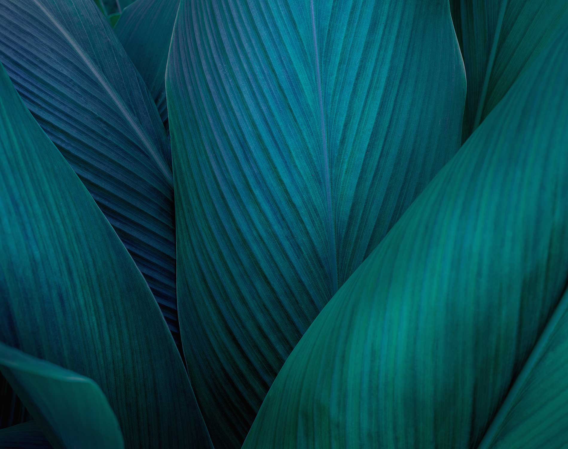 Consultation Period for CSA Regulation Respecting Disclosure of Climate ...